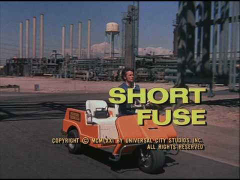 Short Fuse 1 – THE COLUMBOPHILE BLOG