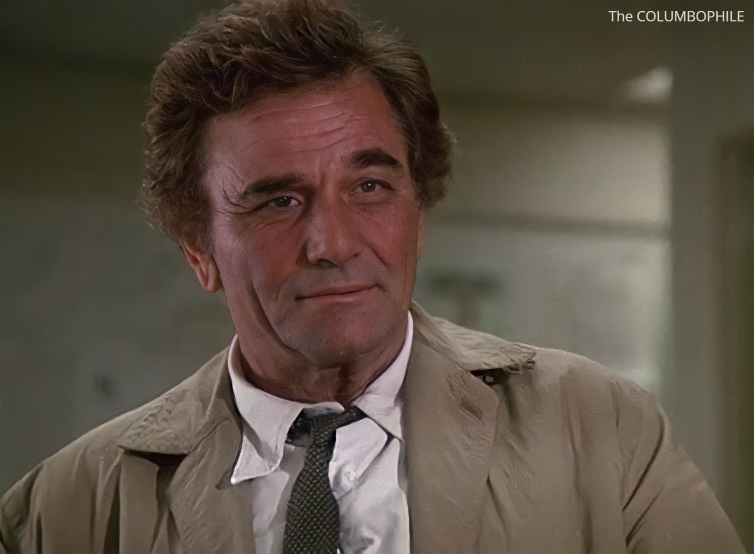 Hazard (27) – THE COLUMBOPHILE BLOG