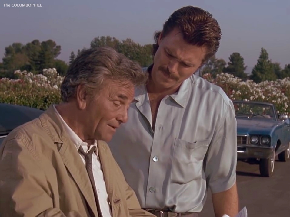 Bird Columbo 6 – THE COLUMBOPHILE BLOG