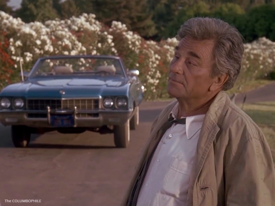 Bird Columbo 7 (1) – THE COLUMBOPHILE BLOG