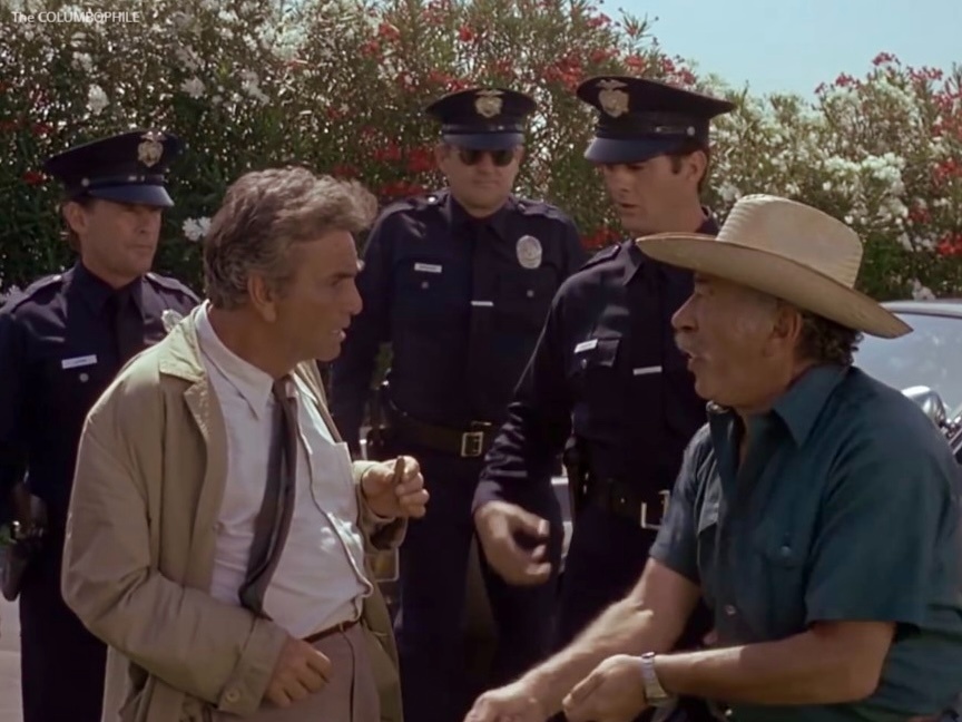 Bird Fernando 1 – THE COLUMBOPHILE BLOG