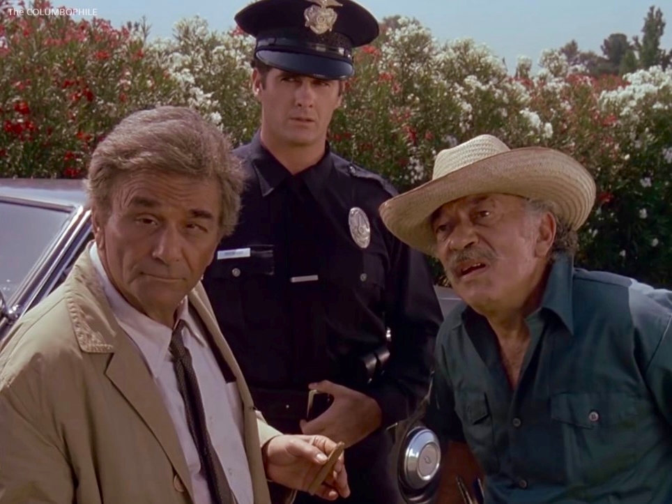 Bird Fernando 3 – THE COLUMBOPHILE BLOG